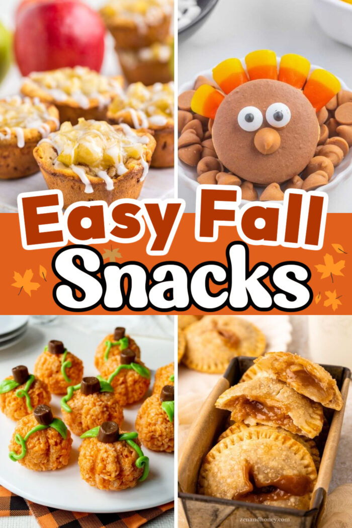 13 Festive Fall Treats and Snacks for Autumn Season - Funtastic Snacks
