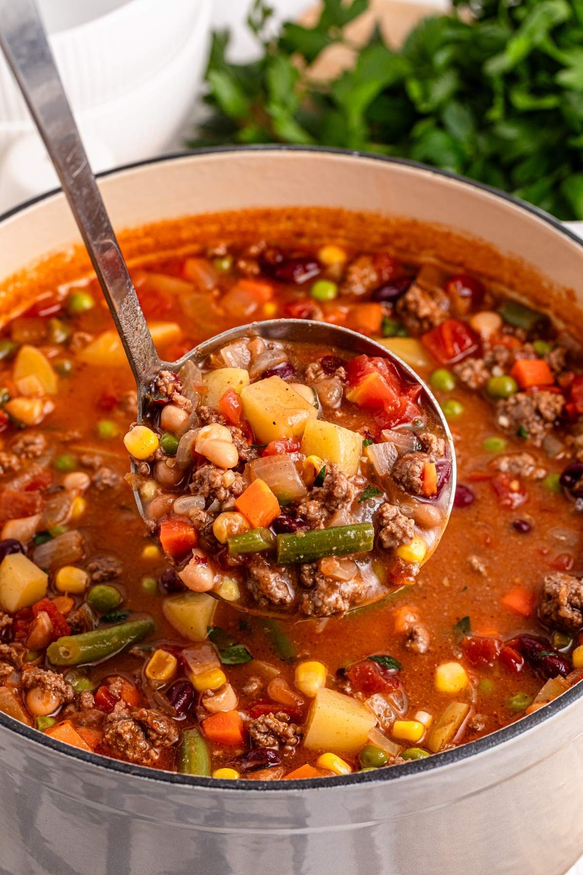 18 Comforting Soups and Stews You'll Want To Cozy Up To - Funtastic Snacks
